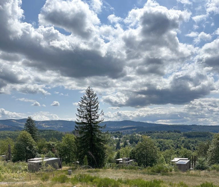 Nutchel Cozy Cabins - Wald Glamping im Elsass - sophiagaleria
